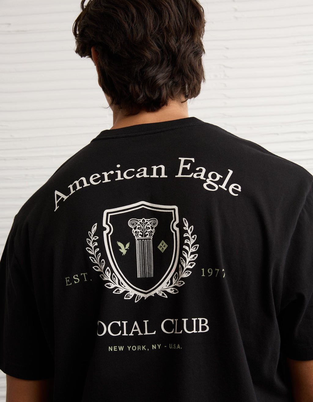AE Standard Fit Logo Graphic T-Shirt – American Eagle Europe