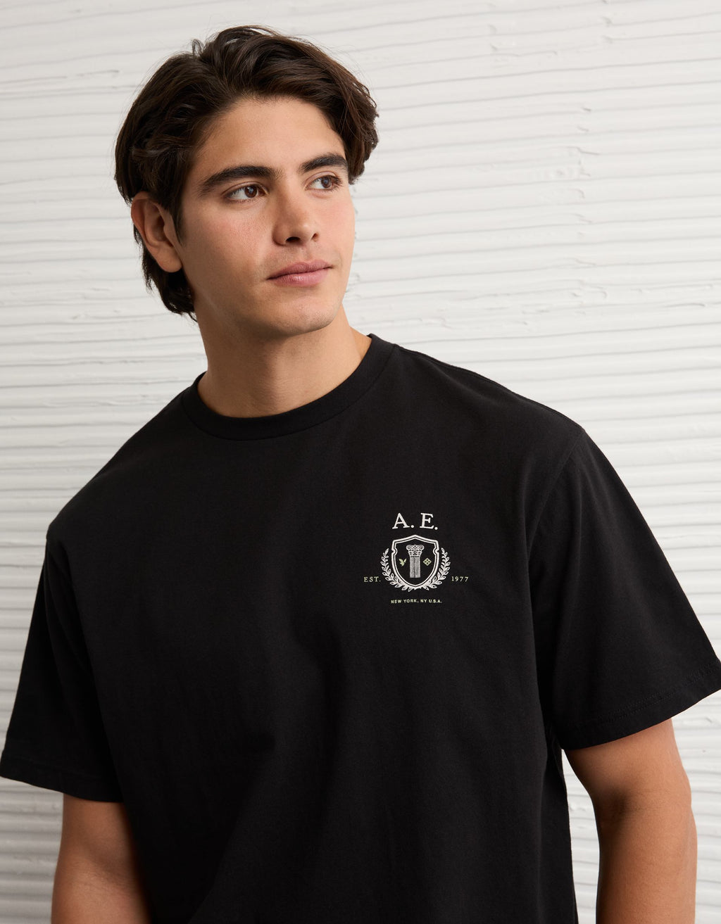 AE Standard Fit Logo Graphic T-Shirt – American Eagle Europe