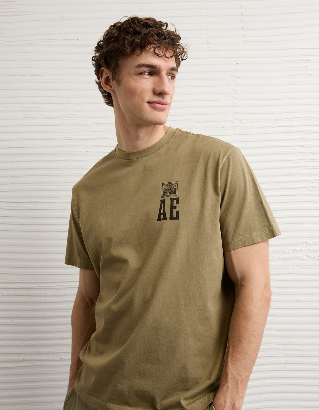 AE Standard Fit Graphic Logo T-Shirt – American Eagle Europe