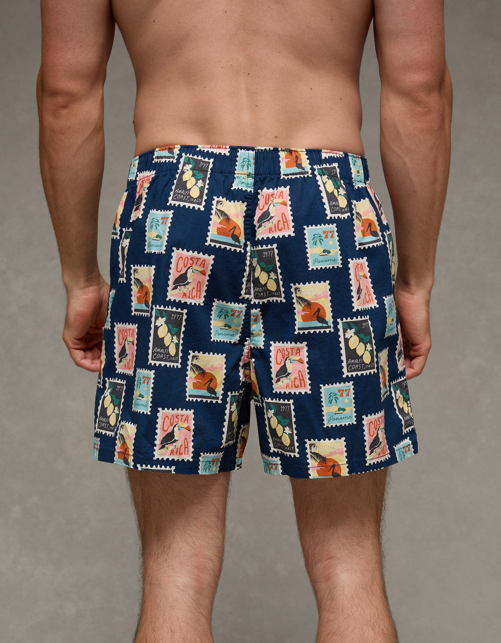 AEO Heren Stretch Boxer Short – American Eagle Europe